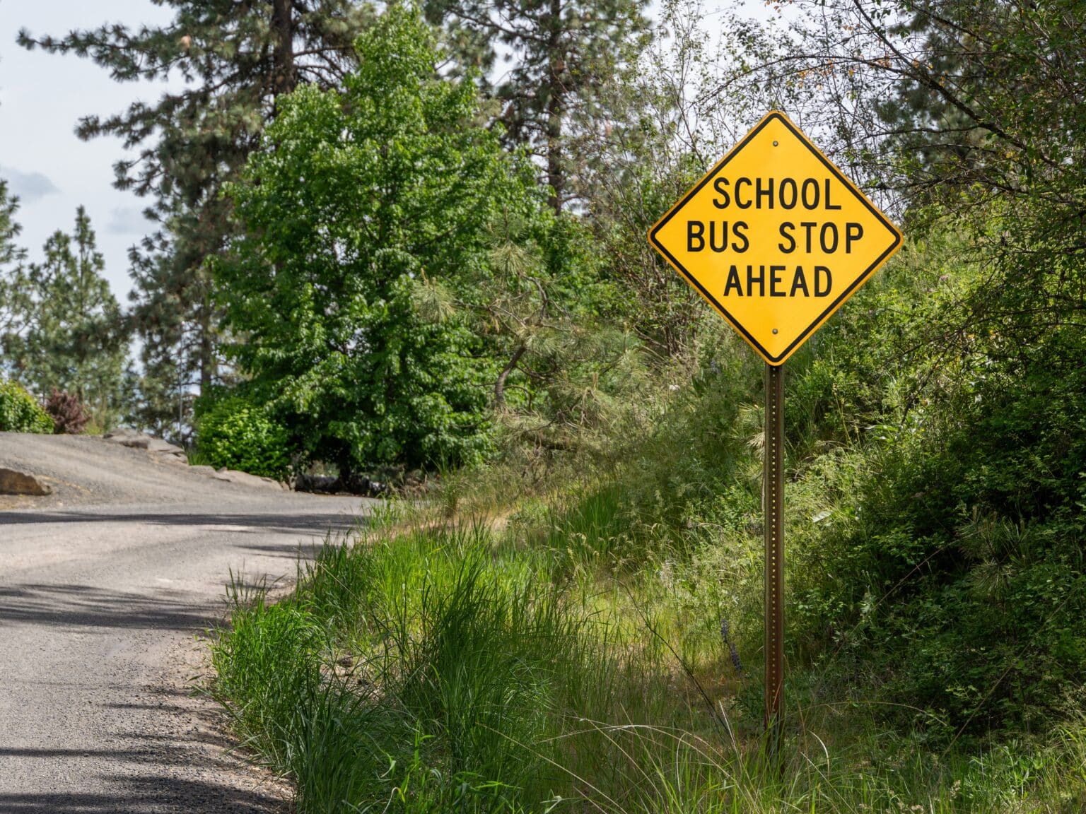 When Can You Pass a Stopped School Bus in Washington? - CCD Law